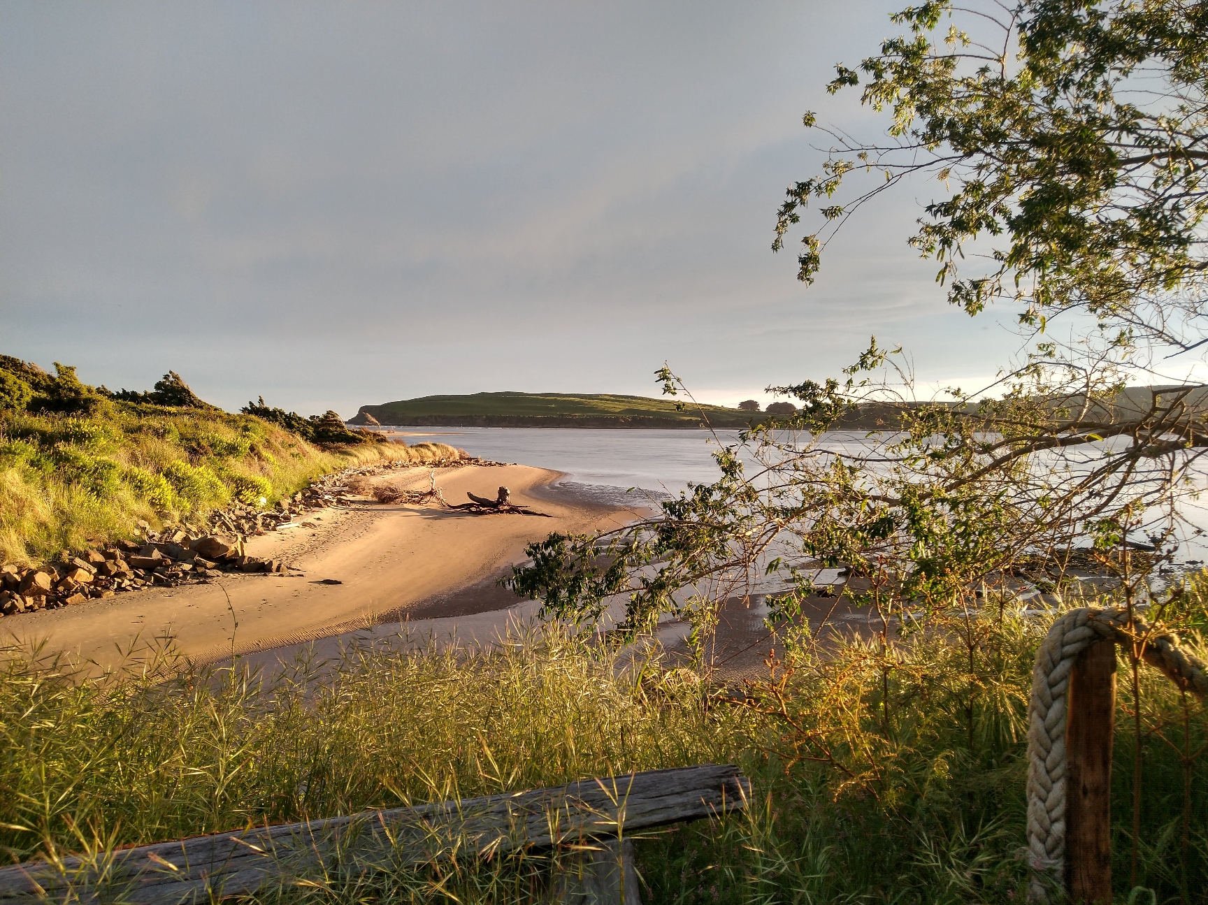 A Travel Guide to the Catlins, New Zealand - KiwiandtheKraut
