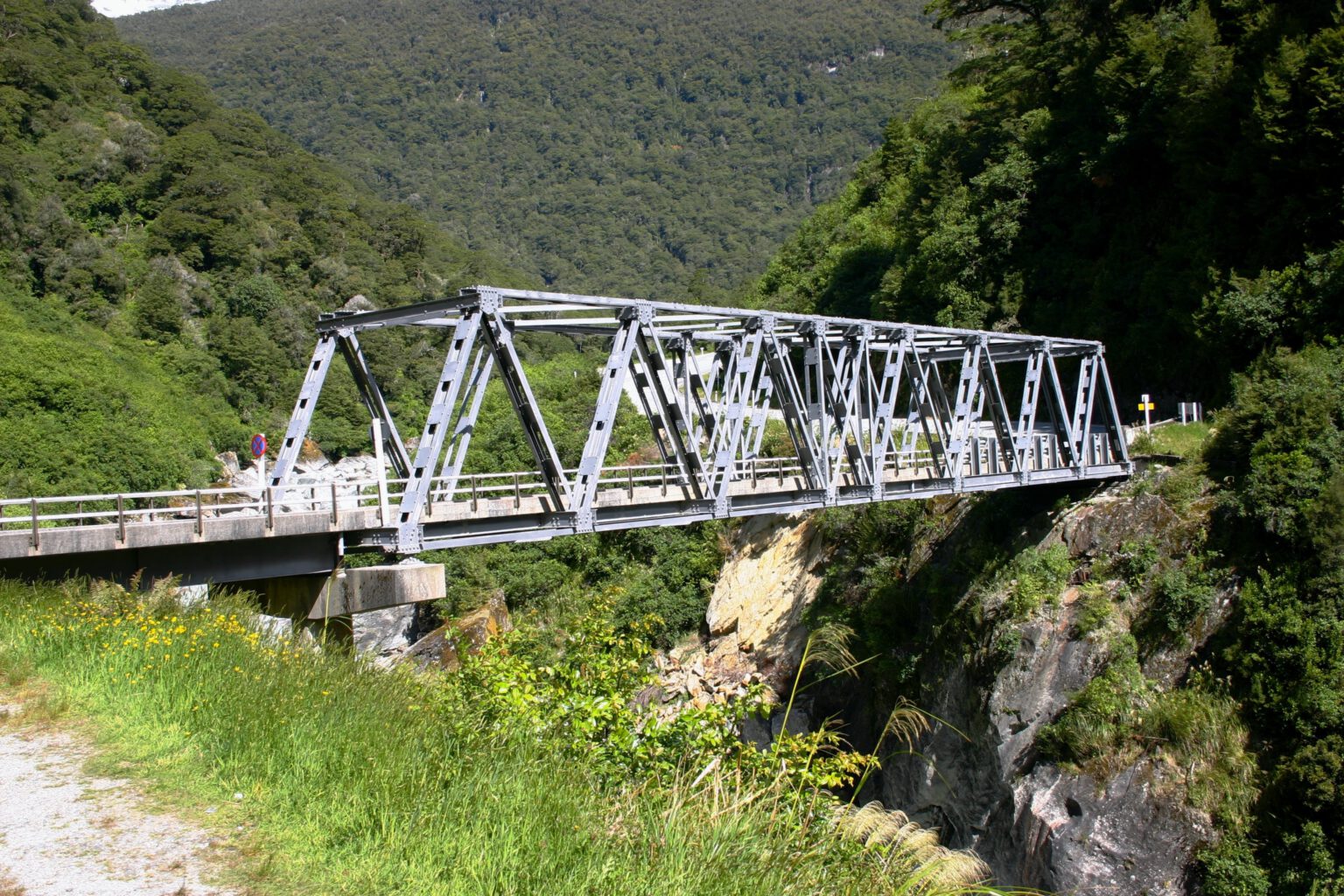 Driving through the incredible Haast Pass, New Zealand - KiwiandtheKraut